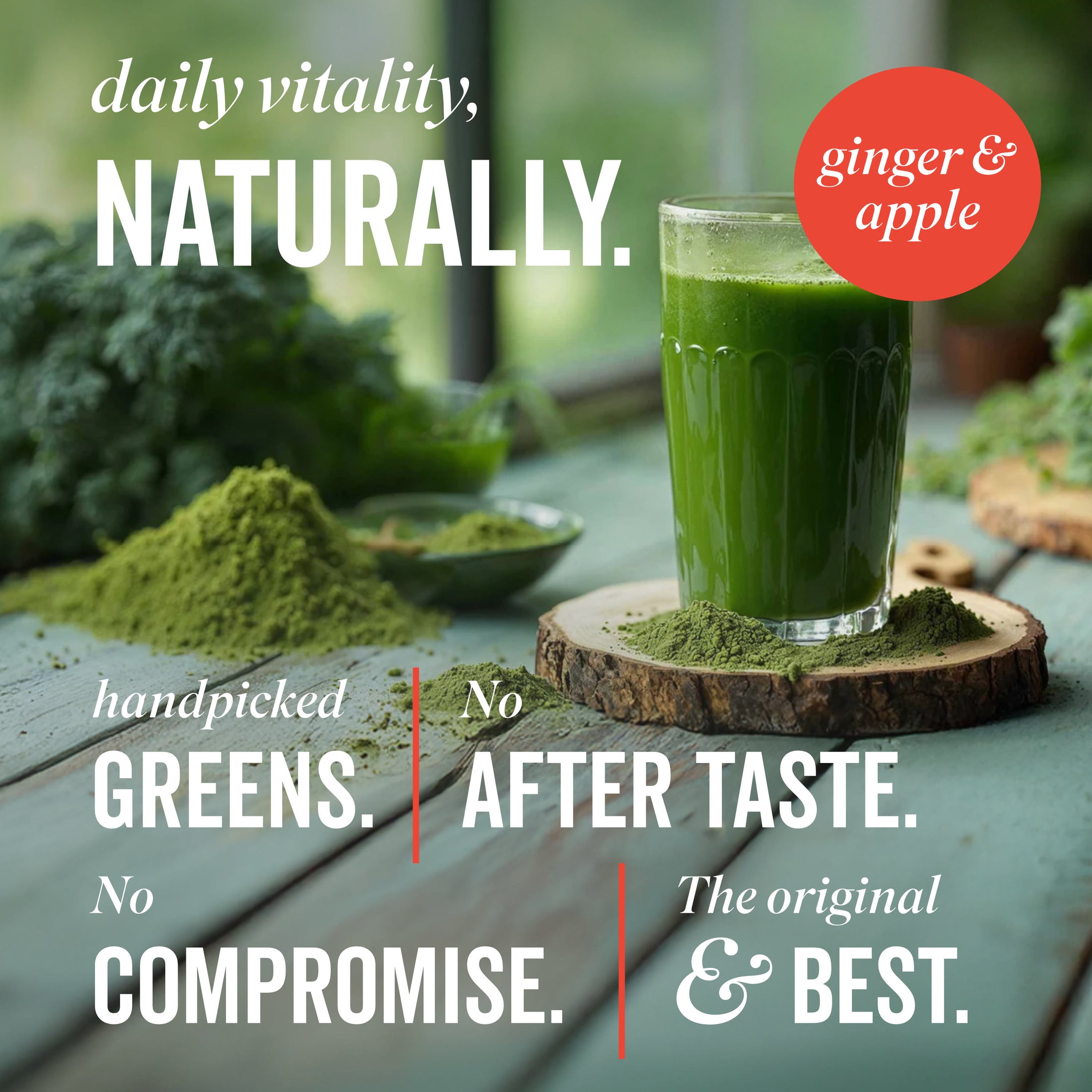 ACTIVE Greens Powder – Grass & Co. Natural Wellness